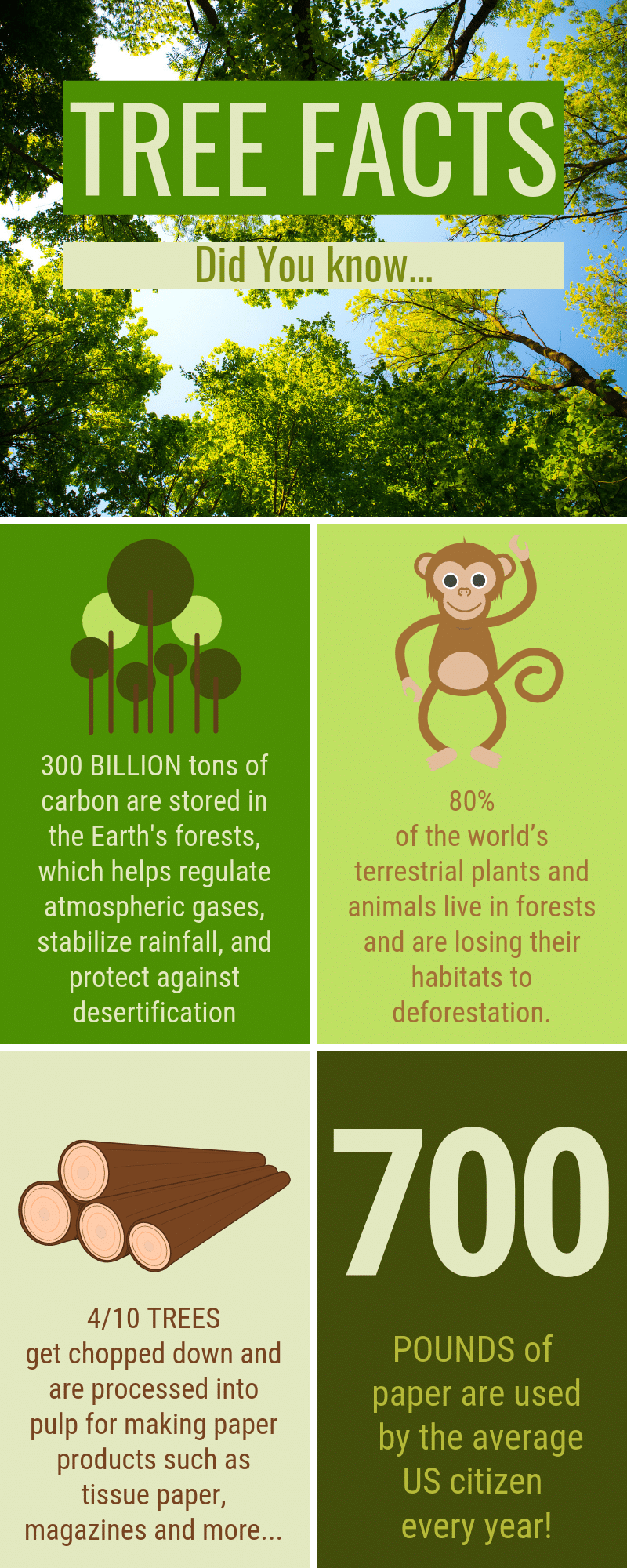 Sustainability Initiative - MPP Marketing Group and One Tree Planted